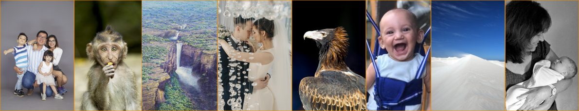 Canvas Your Life – Create Stunning Quality Canvas Prints Here